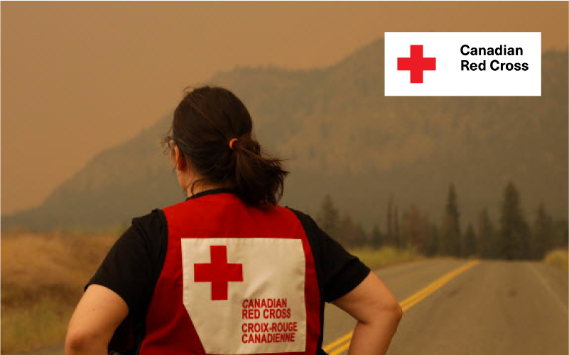 Air Canada: Act now! Earn 100 Aeroplan points when you donate to the ...