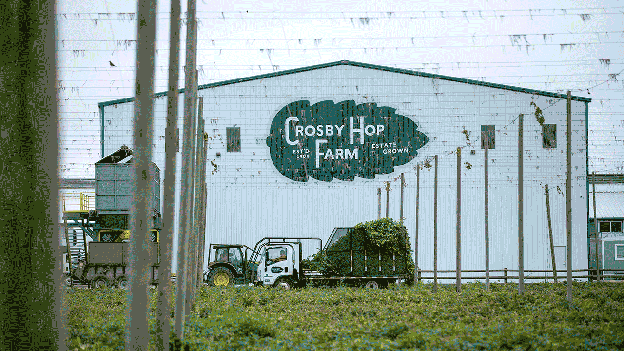 Athletic Brewing: All About The Hops: Oregon Strata Wet Hop IPA 🚨 | Milled