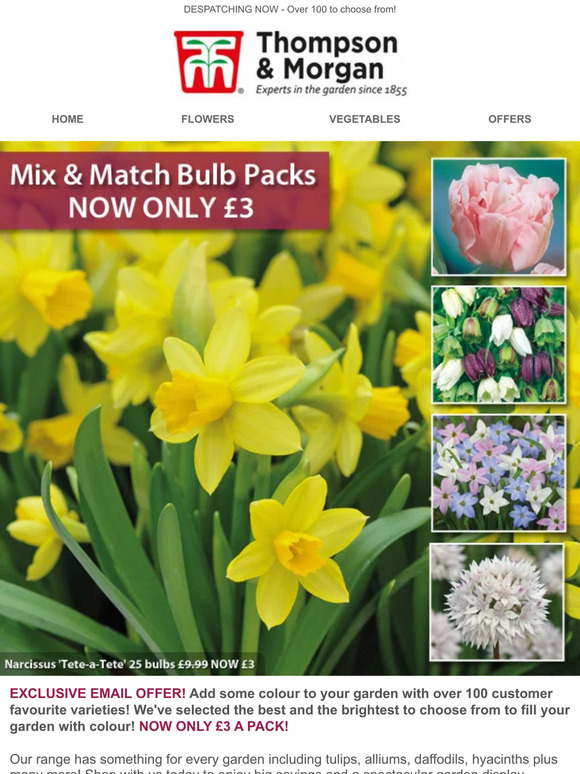 Thompson & Morgan: Only £3! Mix & Match Bulb Packs | Milled