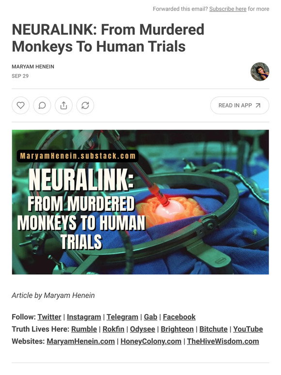 HoneyColony: NEURALINK: From Murdered Monkeys To Human Trials | Milled