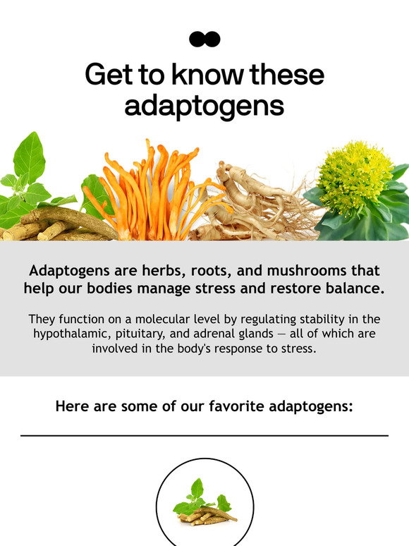 Rootine: What is an adaptogen? 🌿 | Milled