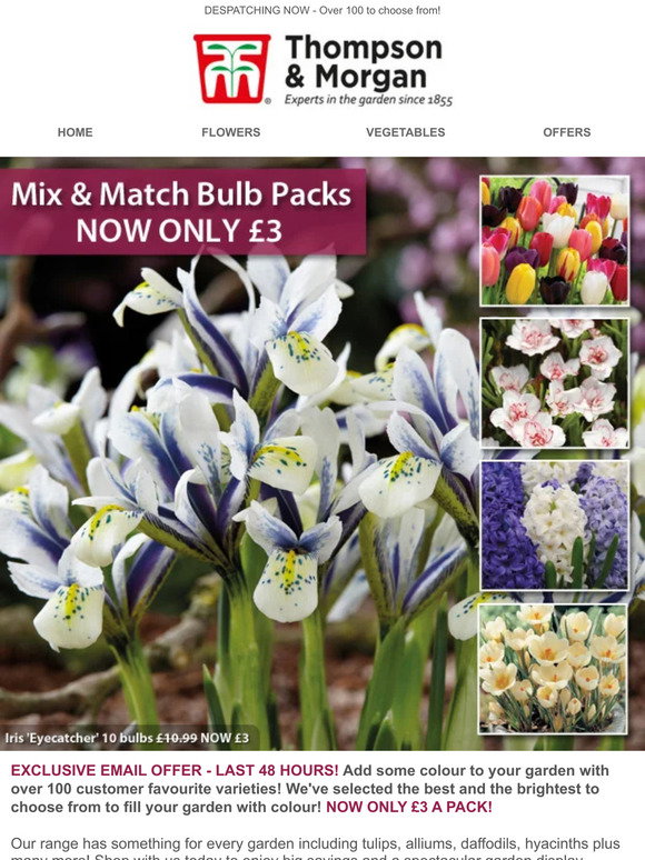 Thompson & Morgan: Only £3! Mix & Match Bulb Packs LAST 48 HOURS! | Milled