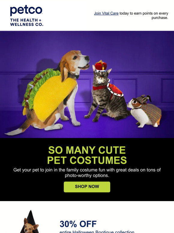 Petco: Tons of cute costumes for your pet. | Milled