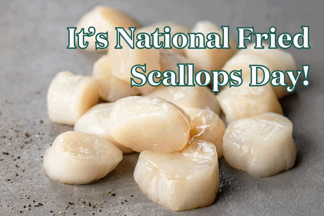 KnowSeafood: Celebrate HALF OFF on Wild Sea Scallops | Milled