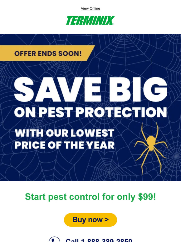 Terminix: [Limited-time savings] Start year-round pest control for $99 ...