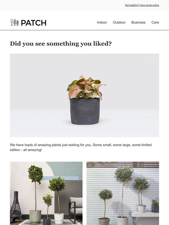 Patch Plants: Don't leaf me behind 🥲 | Milled