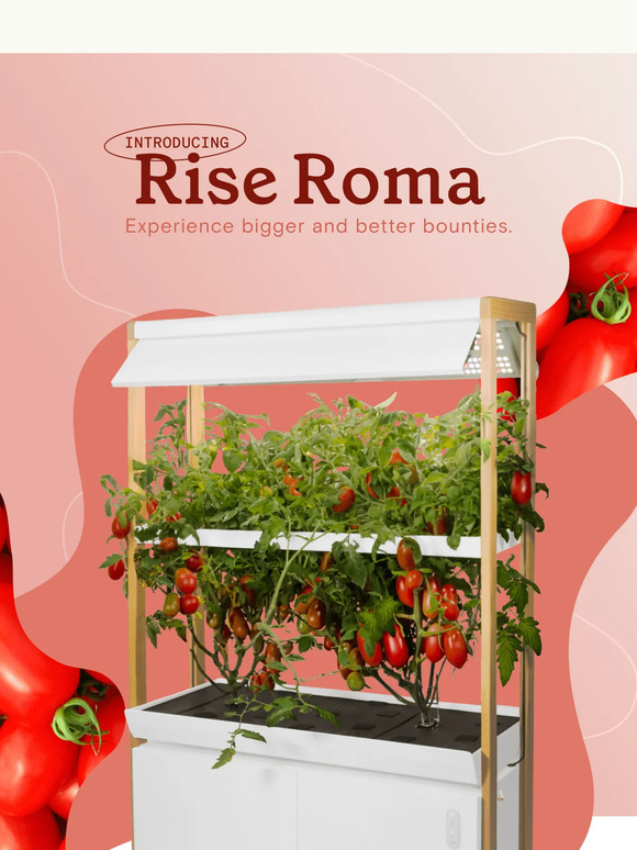 Rise Gardens: Introducing Rise Roma 🍅 | Milled