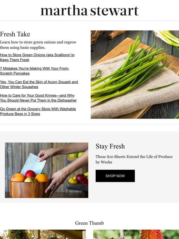 Better Homes and Gardens: How to Properly Store Green Onions (aka ...