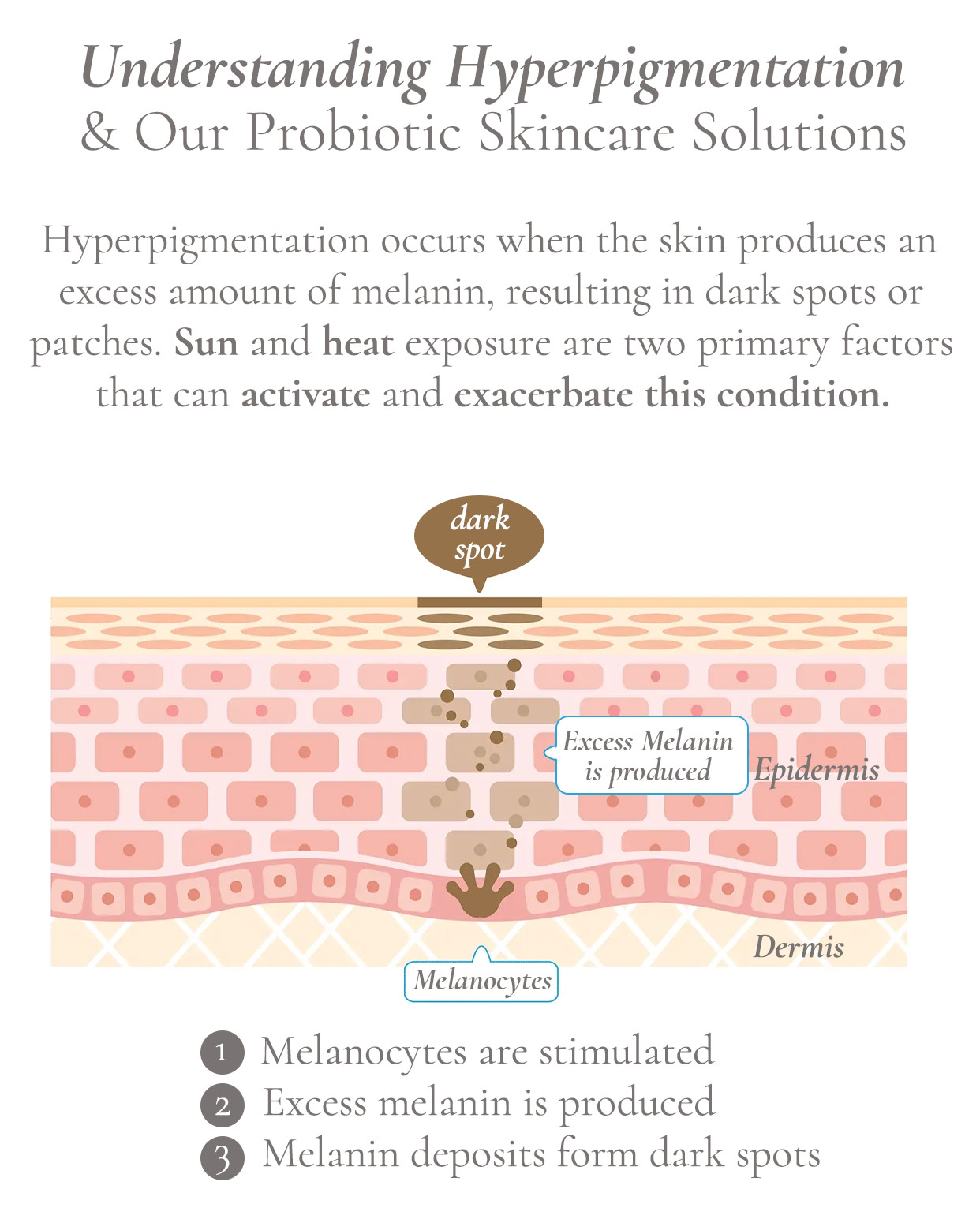 Glowbiotics: 👩🏻‍🎓 Learn How to Treat Hyperpigmentation Like a Pro 👩🏻‍🎓 | Milled