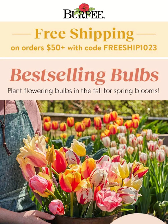 Burpee Gardening: Beloved bulbs! Order now for fall planting | Milled