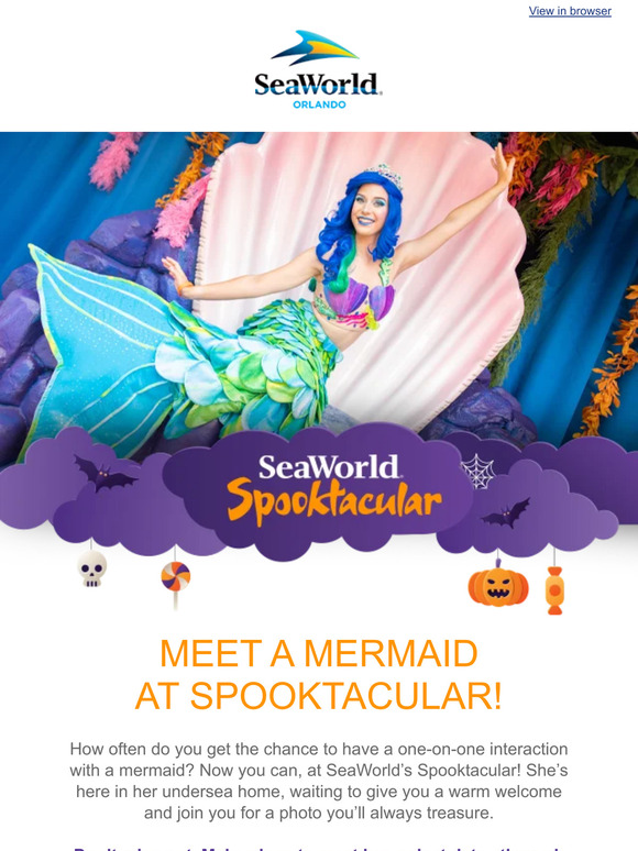 SeaWorld: 🧜‍♀️ Meet a Mermaid Now at Spooktacular! | Milled