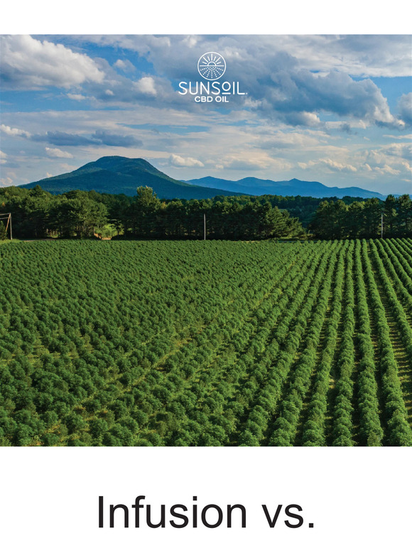 Sunsoil: Infusion vs Extraction: which one is best for you? | Milled