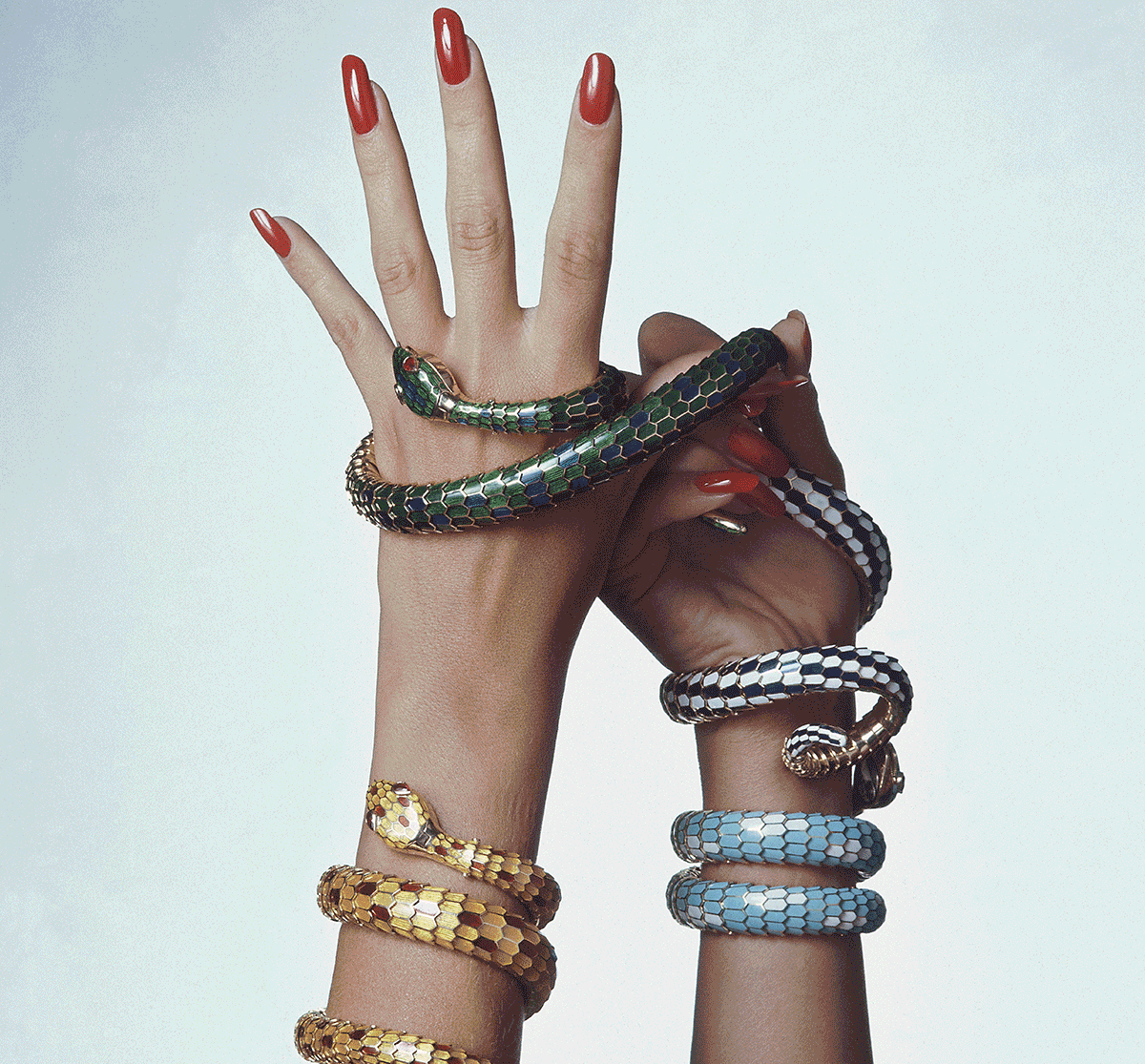 Assouline: Library Highlights | Milled