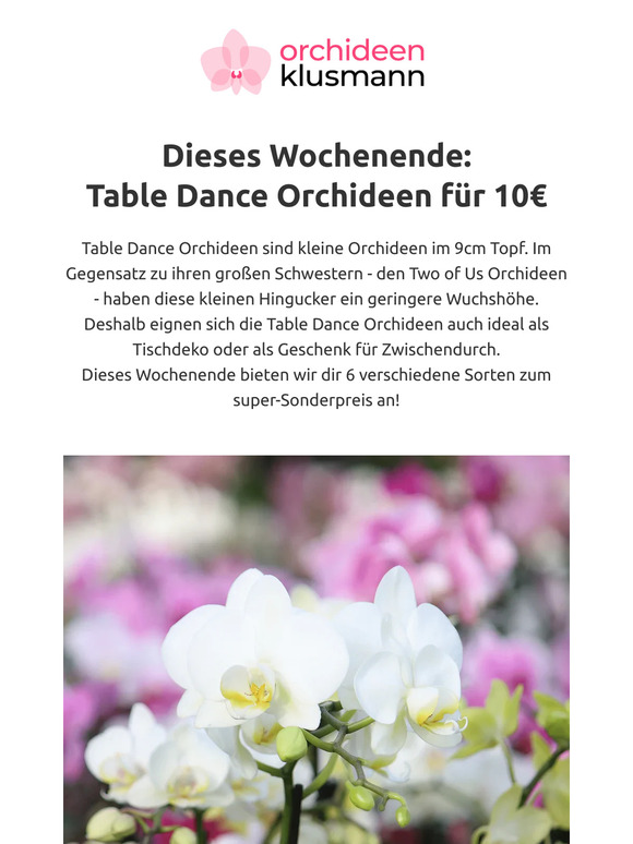 Orchideen Klusmann: ⭐ Wochenend-Schnapper: Table Dance für 10€ | Milled
