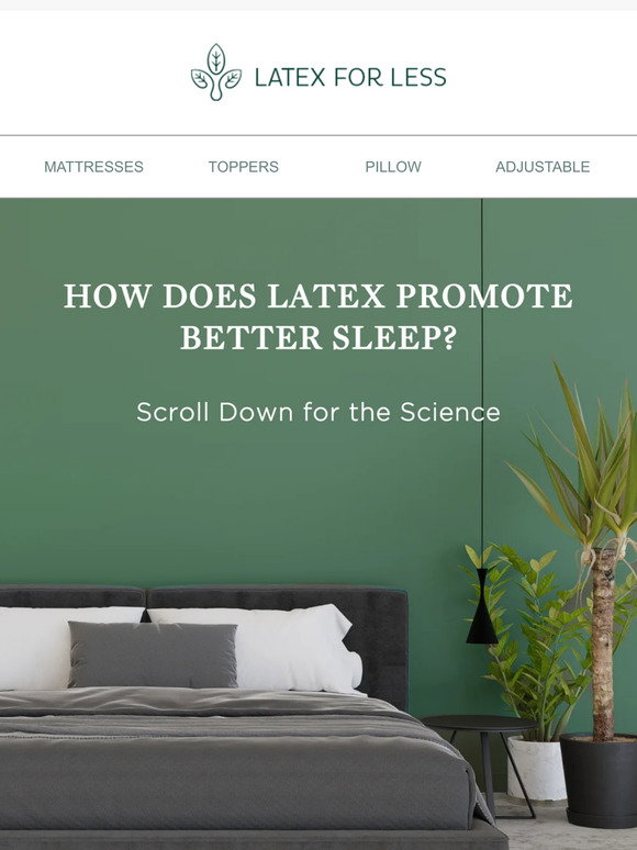 Latex For Less: 👩🏻‍🔬 What Scientists Say About Latex + Better Sleep ...