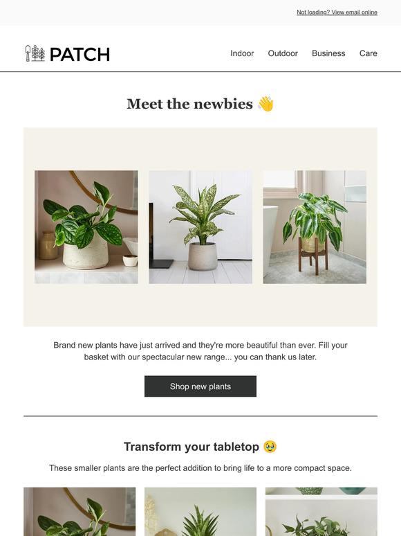 Patch Plants: New plants just dropped 🙌 | Milled