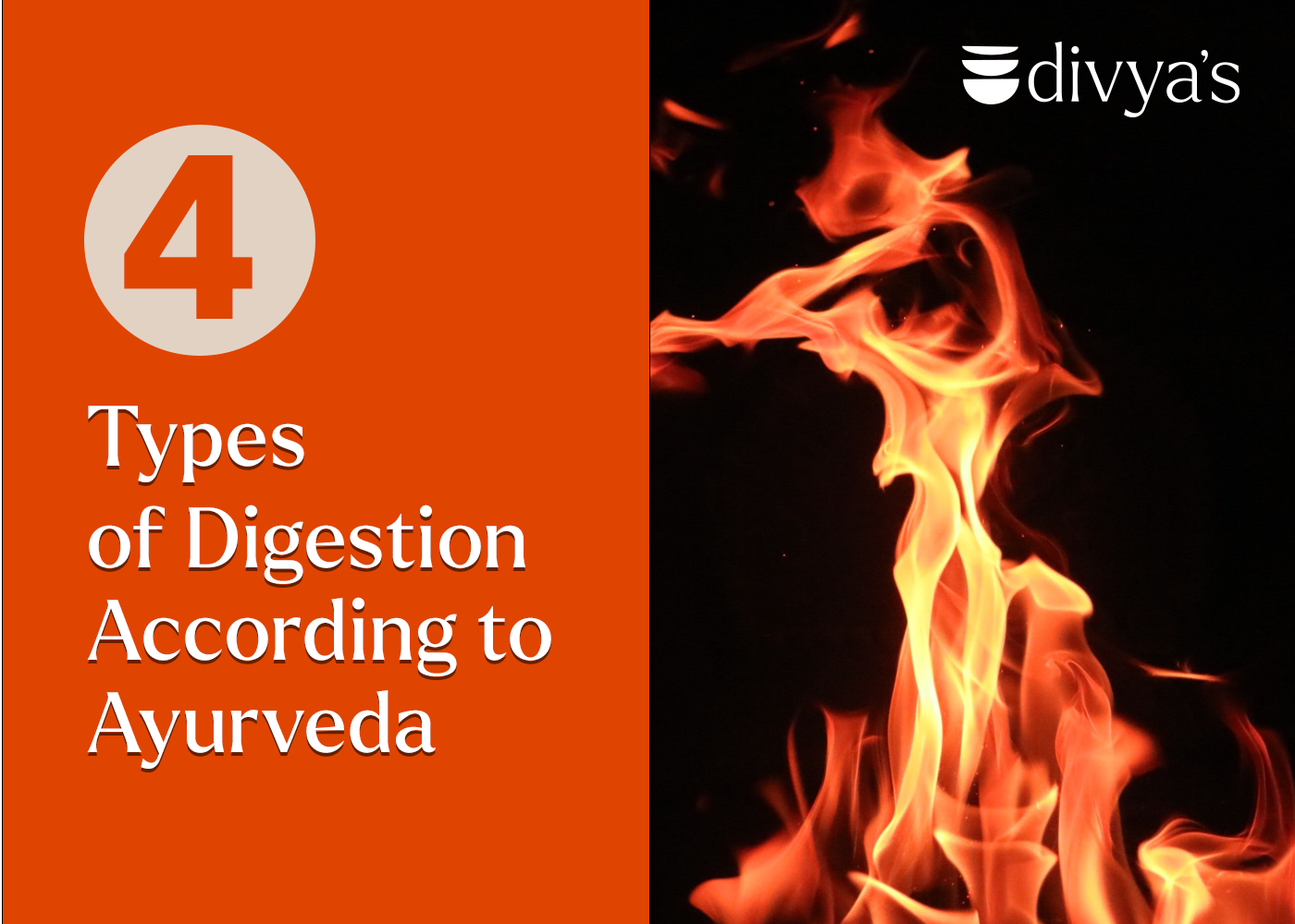 Divya's: The Four Types of Digestion According to Ayurveda | Milled