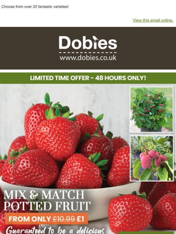Dobies: MIX & MATCH Potted Fruit FROM £1 EACH! 48 HOURS ONLY! | Milled
