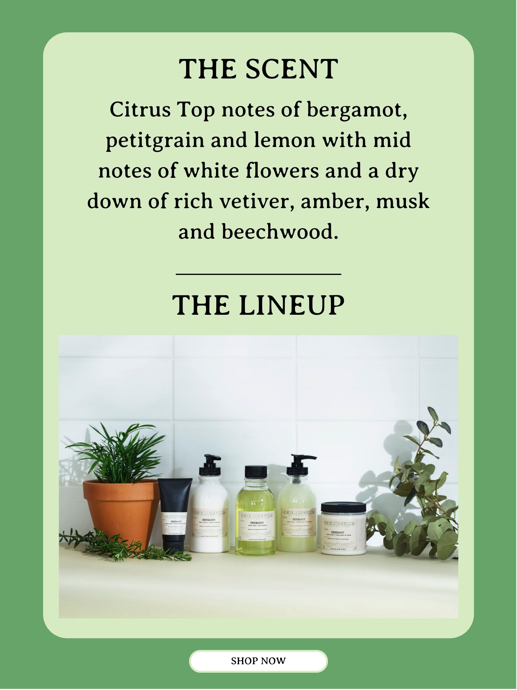 C. O. Bigelow Apothecaries: The Iconic Collection: Bergamot 💚 | Milled