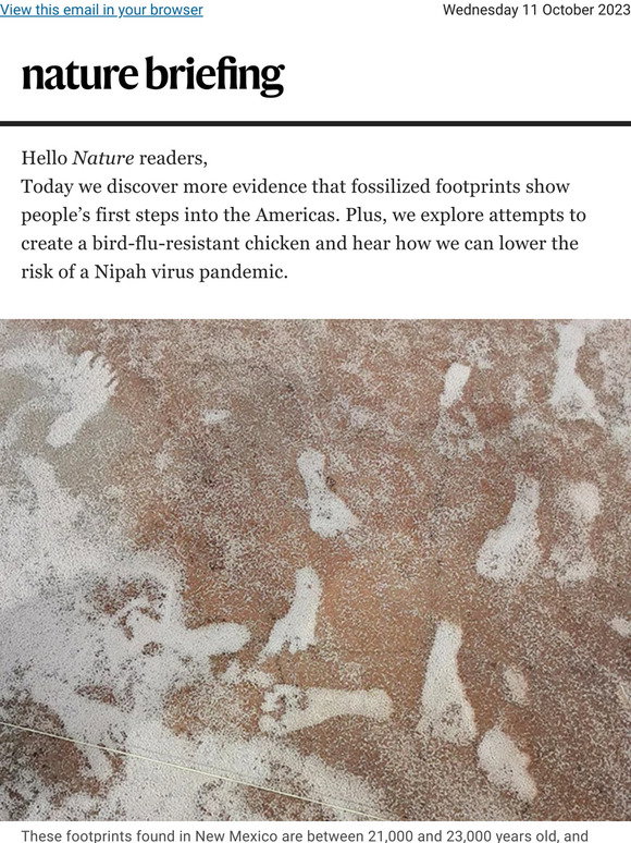 Nature: Fossilized footprints show people’s first steps into the ...