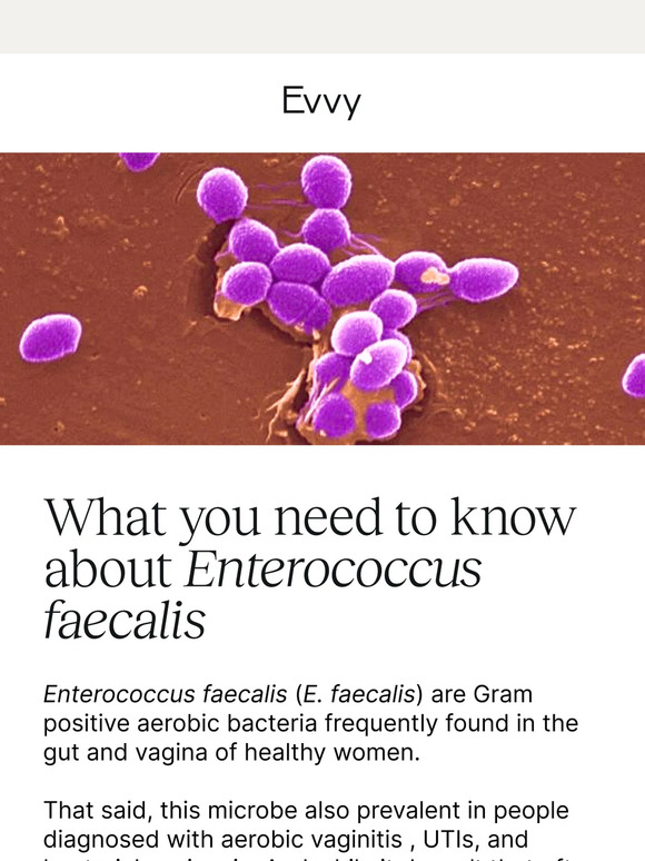 Evvy: 🦠 What is Enterococcus faecalis? | Milled