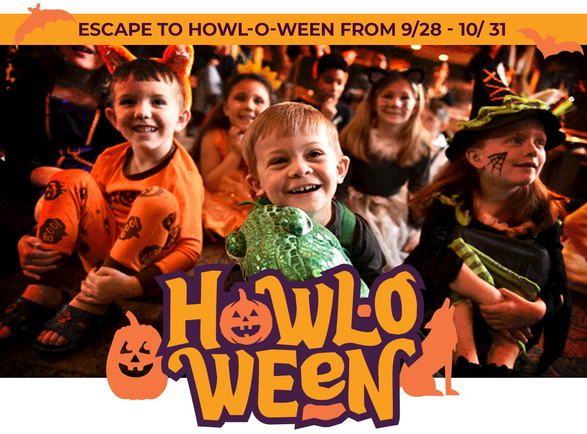 Great Wolf Lodge: You have 48 hours to plan a — Pack getaway...Go! | Milled