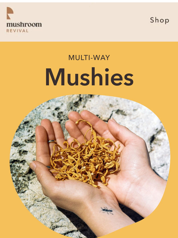 Mushroom Revival: Four-Way Functional Fungi | Milled