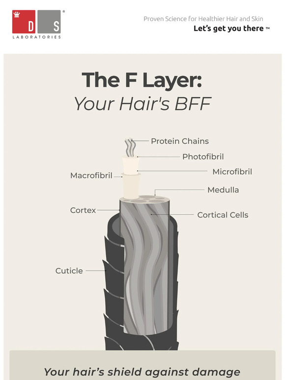 DS Laboratories: Why the F Layer Is Your Hair's Best Friend | Milled