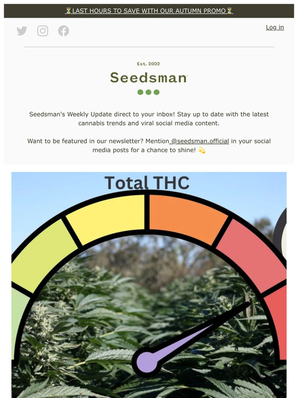 SeedsMan: Weekly Update: Early and Fast-Growing Cannabis Varieties 🌱 ...