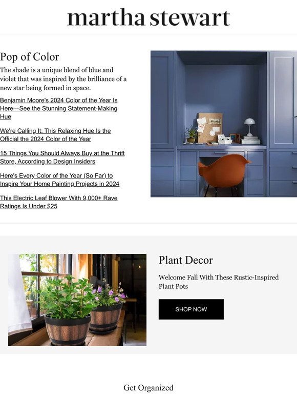 Martha Stewart: Benjamin Moore's 2024 Color of the Year Is Here! | Milled
