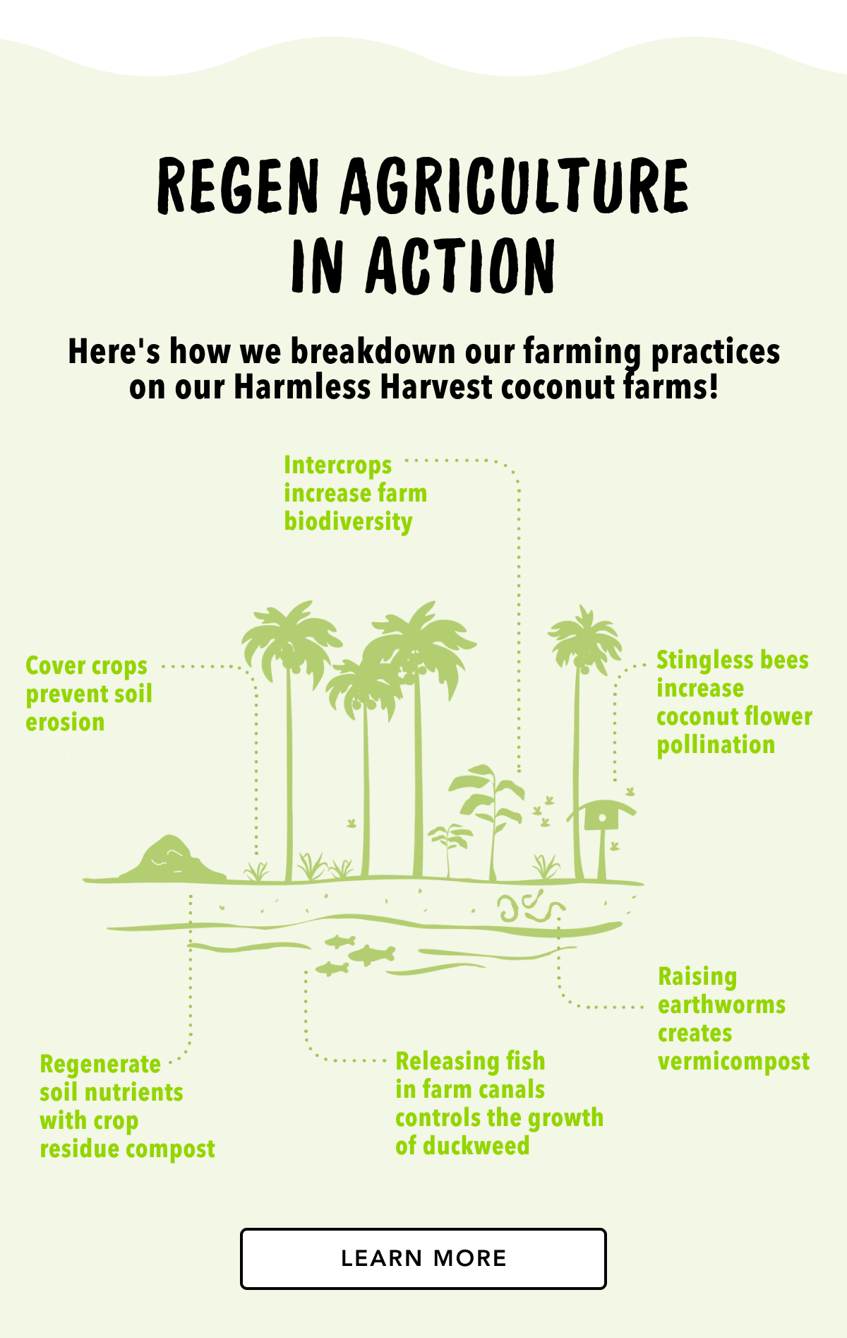 Harmless Harvest: The Breakdown: 🥥 Regenerative Agriculture | Milled