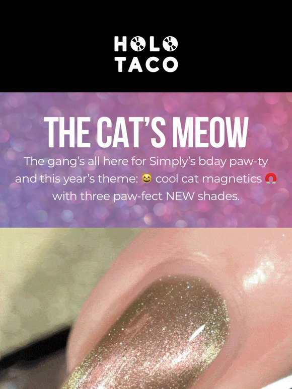 Holo Taco: NEW 😻👁 Cool Cat Magnetic Shades | Milled