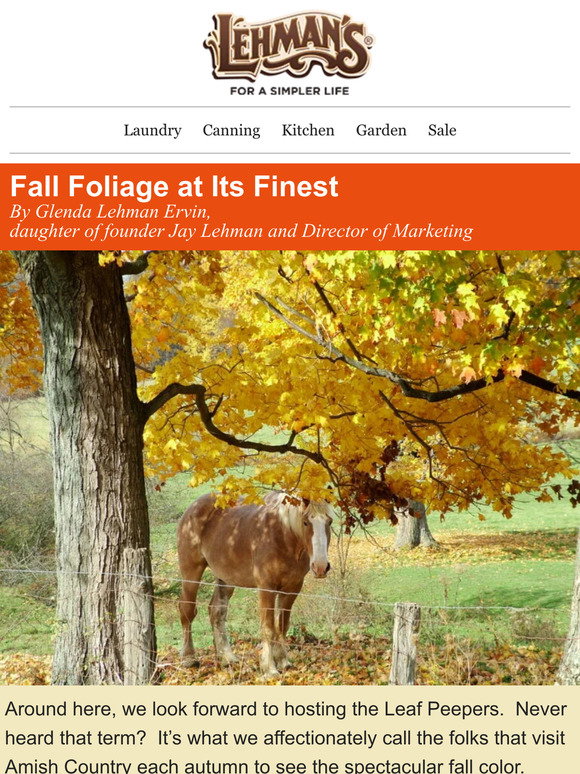 Lehman's: Simple Living Sunday: Fall Foliage at Its Finest 🍁 | Milled
