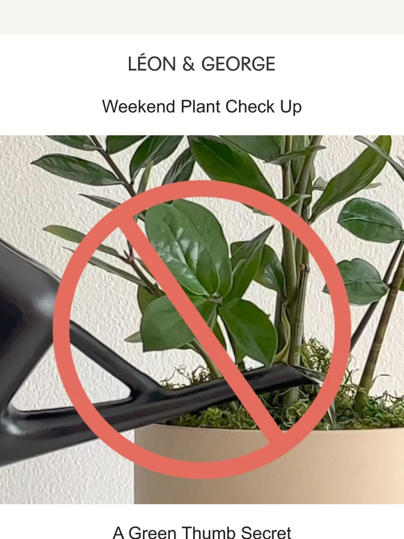 Leon & George: Weekend Plant Care Reminder | Milled