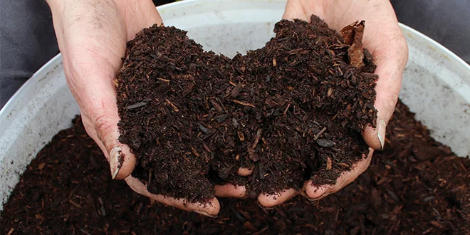 Marshalls Seeds: Organic Extra Offer EXTENDED | Milled