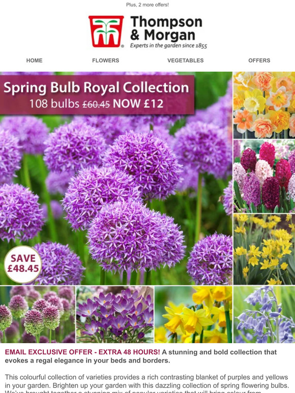 Thompson & Morgan: £60 Spring Bulb Bundle NOW £12! EXTRA 48 HOURS! | Milled