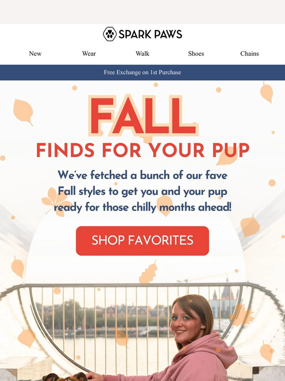Spark Paws: Best Fall Finds for Your Pup 👀 | Milled