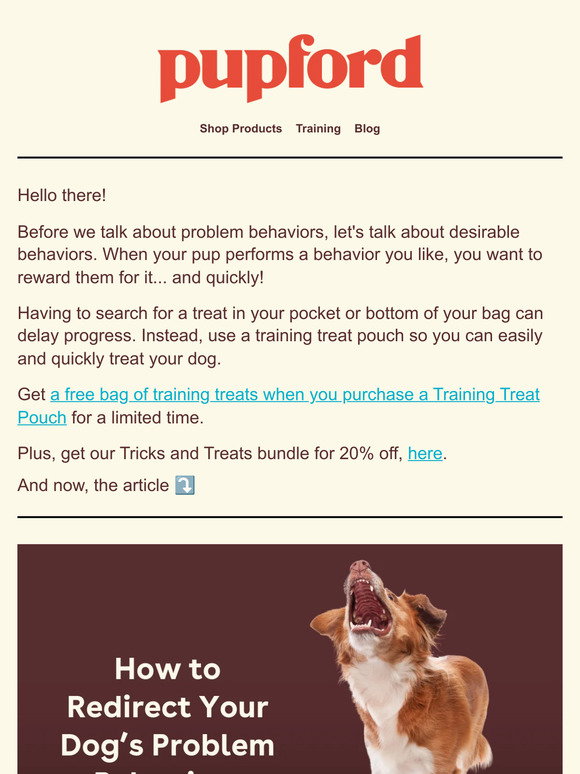 Pupford: [article] How to Successfully Redirect Your Dog's Problem ...