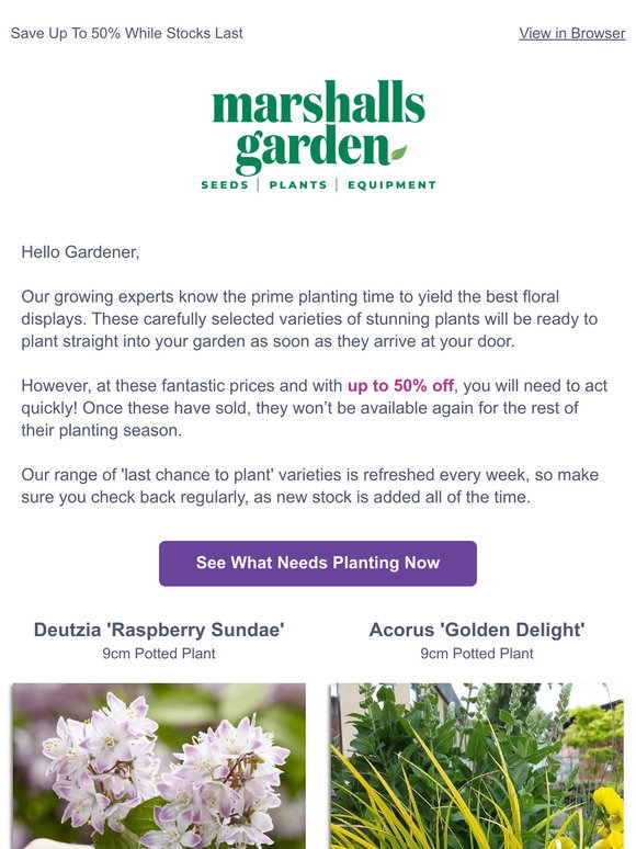 Marshalls Seeds: Gardener, It's Your Last Chance to Plant... | Milled
