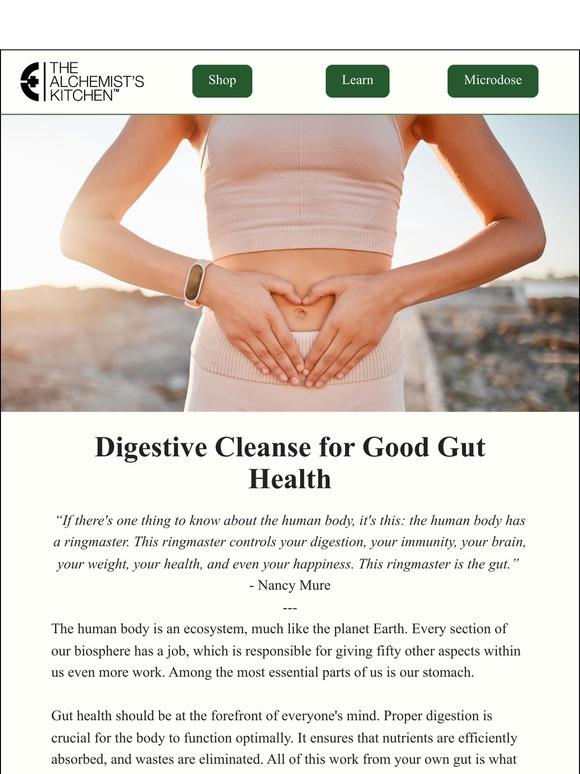 The Alchemist's Kitchen: Digestive Aids to Help Gut Health🍲 | Milled