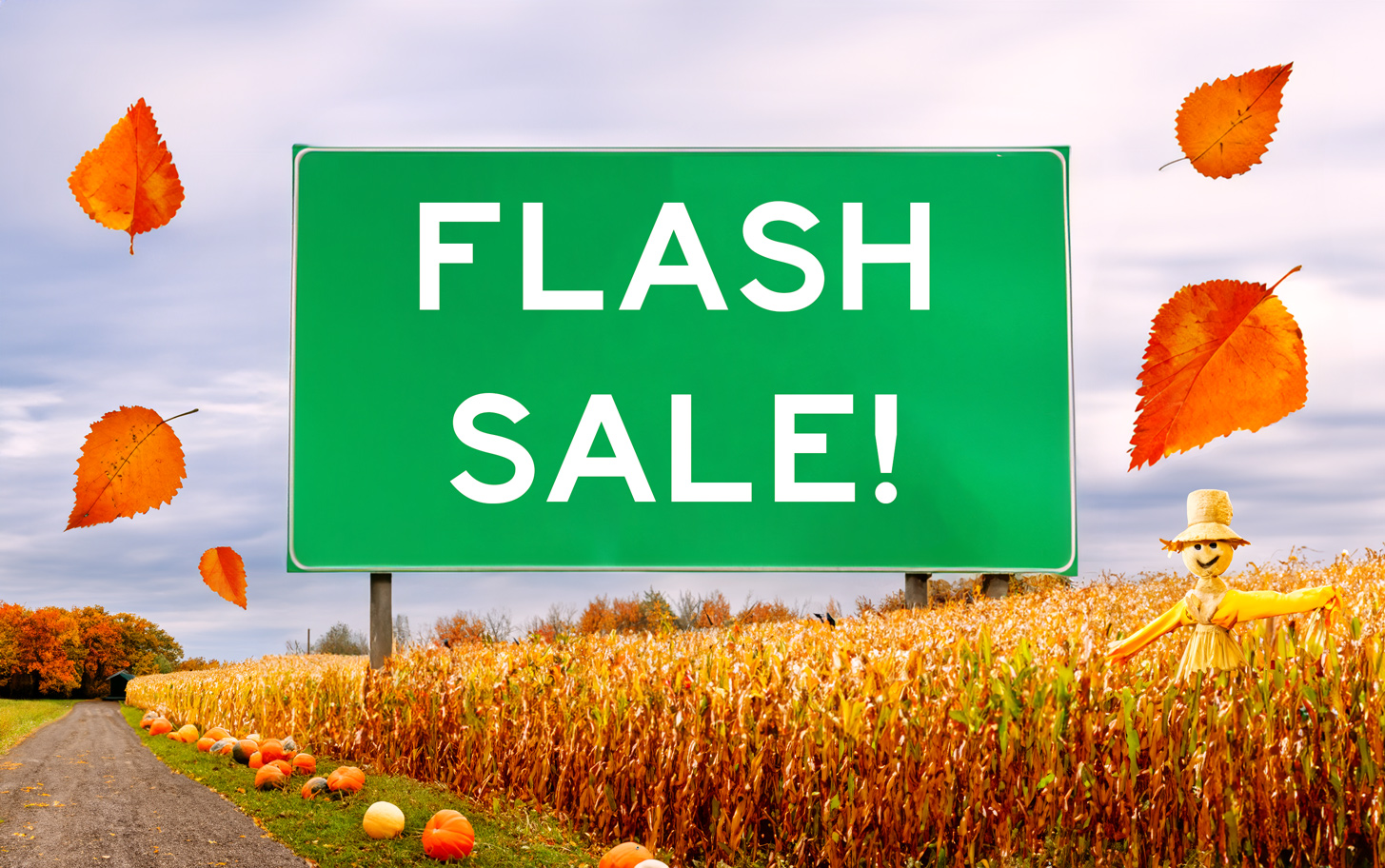 Megabus: Savings Alert: 2 Day Flash Sale! | Milled