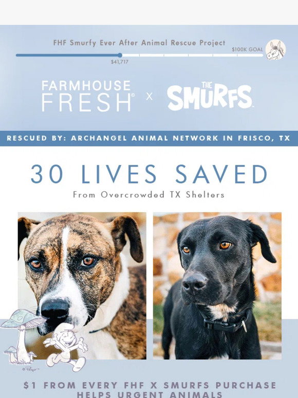 FarmHouse Fresh: Meet the 30 Faces Saved From Overcrowded TX Shelters 🐶 ...