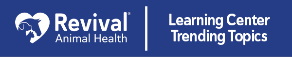 Revival Animal Health: 5 Ways to Your Pup’s Safe Start | Milled