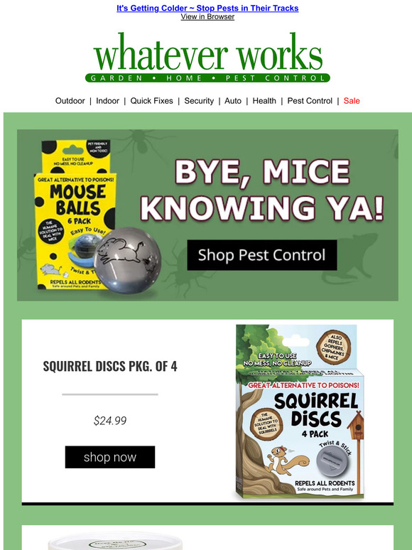 whatever works: Mice? ️ Bugs? ️ Birds? ️ We Can Solve All Your Pest ...
