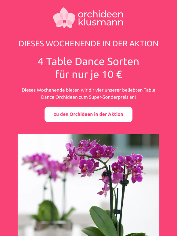 Orchideen Klusmann DE: Verschiedene Table Dance für 10 Euro | Milled