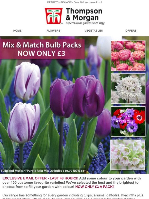 Thompson & Morgan: Only £3! Mix & Match Bulb Packs LAST 48 HOURS! | Milled
