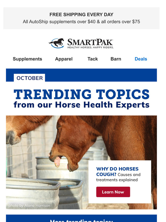 SmartPak Equine: From The Experts: Why Do Horses Cough? | Milled