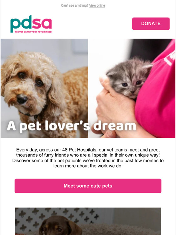 PDSA: Meet our cutest pet patients | Milled