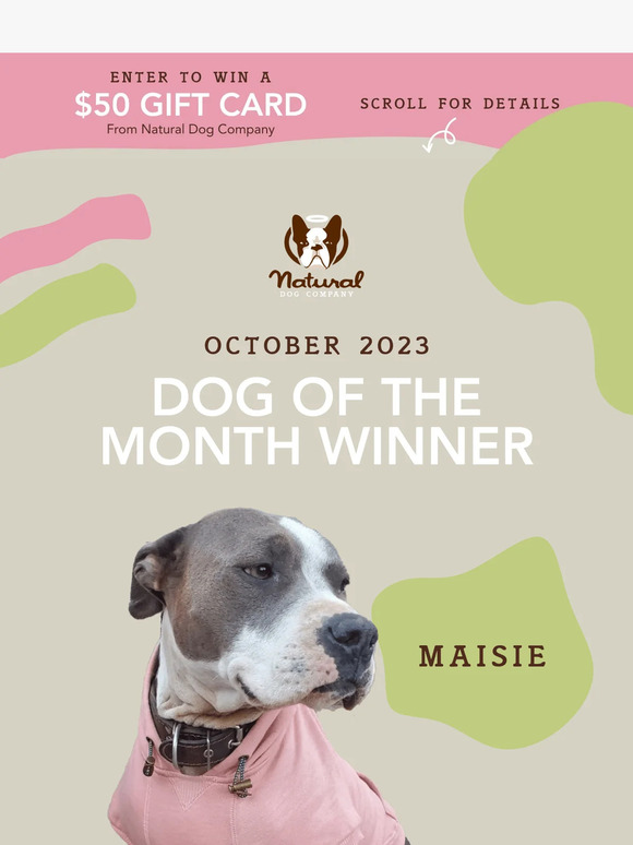 Natural Dog Company: Maisie’s our October Dog of the Month! | Milled