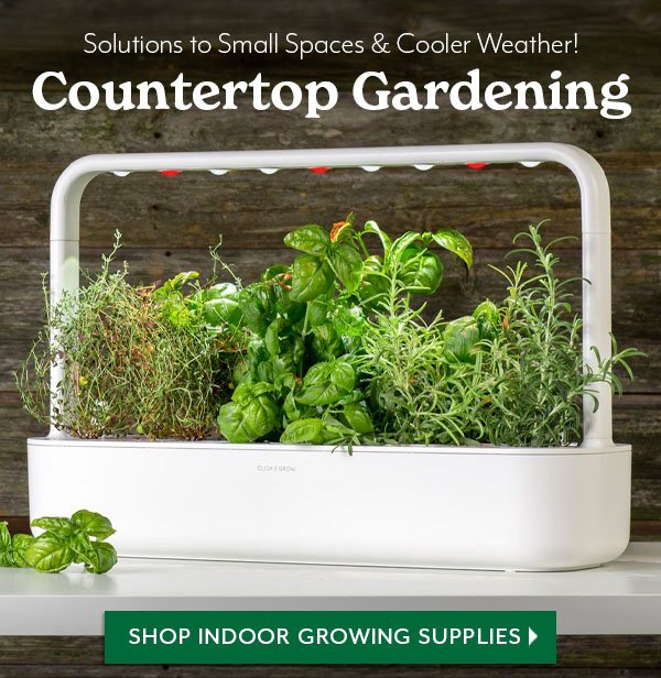 parkseed.com: Countertop Gardening: Greenery at Your Fingertips | Milled